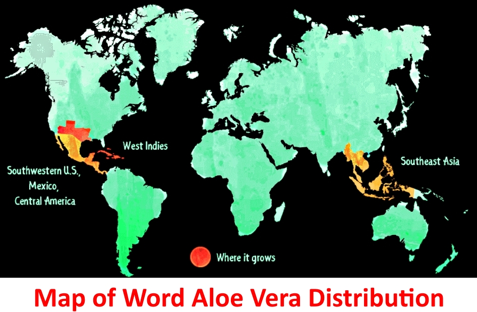 Malaysia Metaphysician Master SOON | Page 27 of 101 | International ...