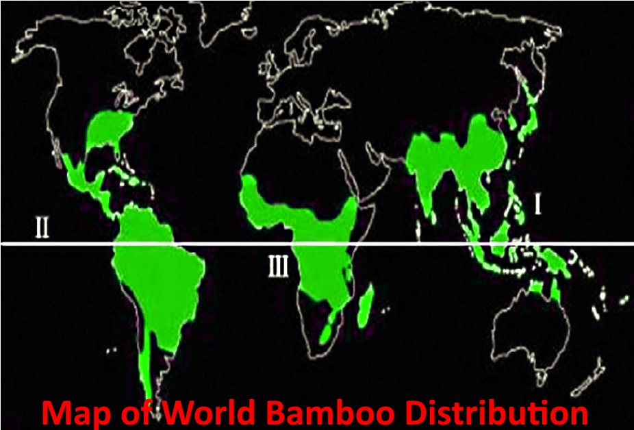 Malaysia Metaphysician Master SOON – Page 20 – International Feng Shui ...