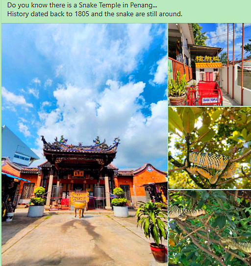 Penang Snake Temple & Bayan Lepas Feng Shui Master Plan